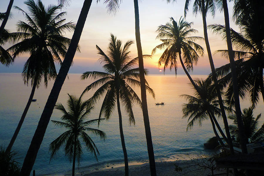 Sumatra Holidays With Kids: Monkeys & Elephants | Travel Nation