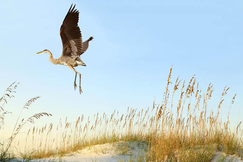 A Deep South Family Road Trip Across America | Travel Nation