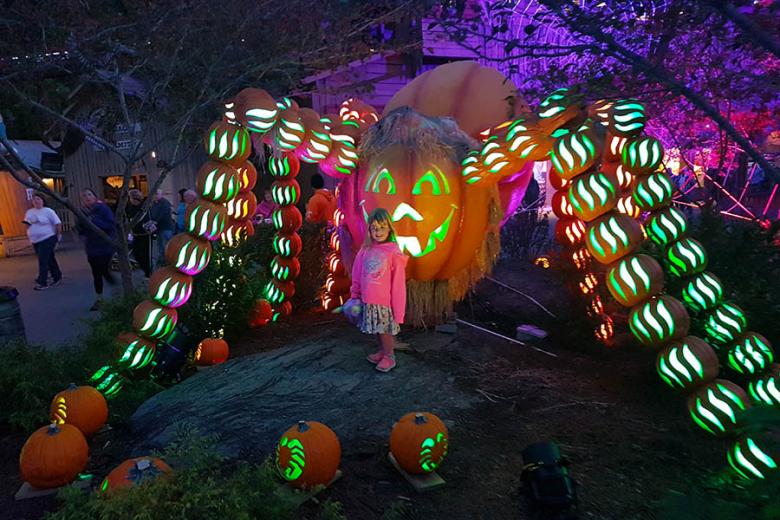 A Deep South Family Road Trip Across America | Travel Nation