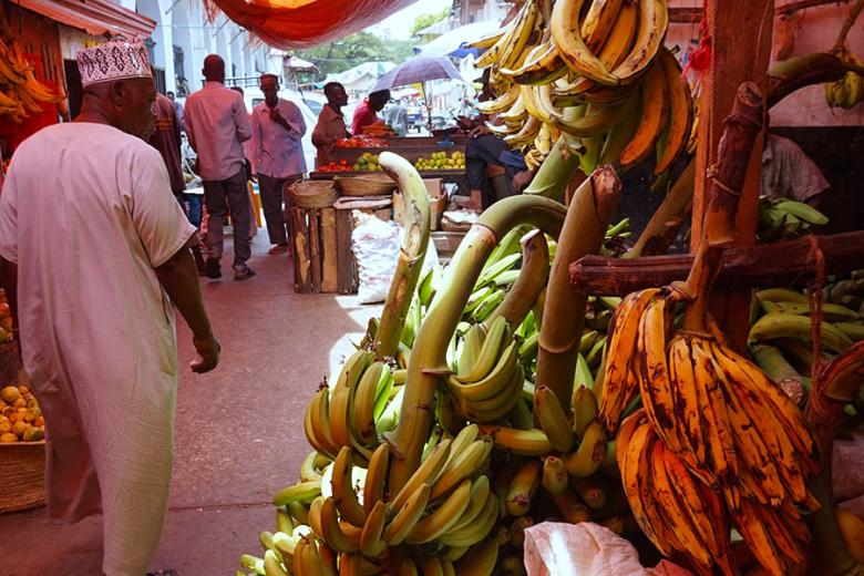 What To Do In Zanzibar: 9 Ideas Around The Island | Travel Nation